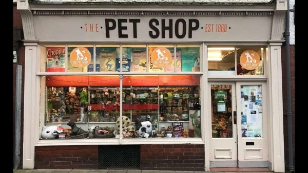Tips Para Crear Mi Pet Shop En Perú: Dirigir El Negocio 2024