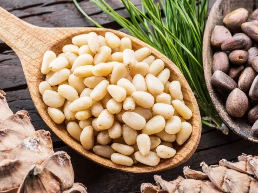 Cómo Comer Piñones De Forma Saludable: Porciones Y Datos