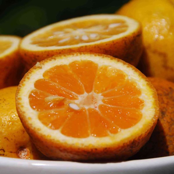Refrescante Vodka Con Jugo De Naranja: Receta Irresistible